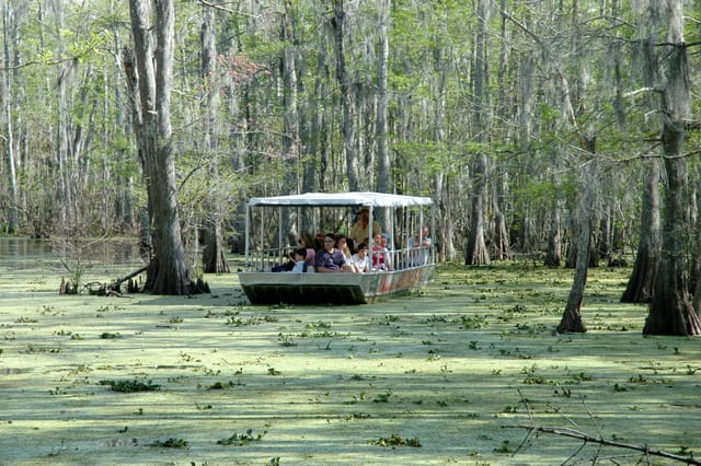 New Orleans Swamp Tours - Cajun Encounters